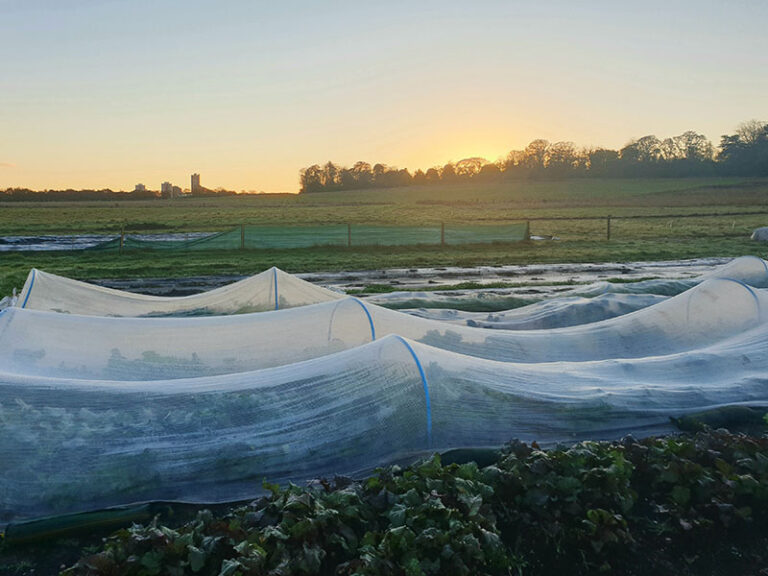 About | Lauriston Farm