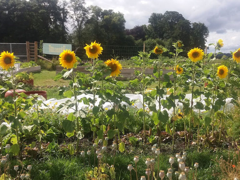 Our Approach | Lauriston Farm