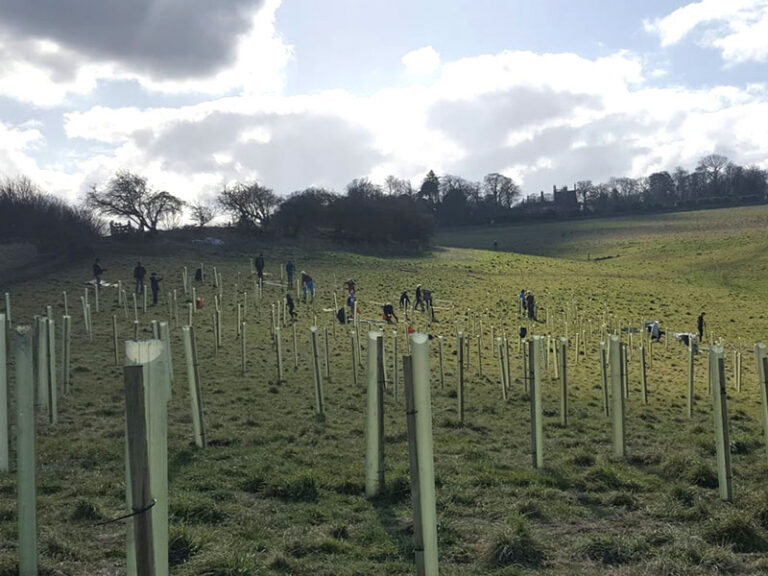Agroforestry | Lauriston Farm